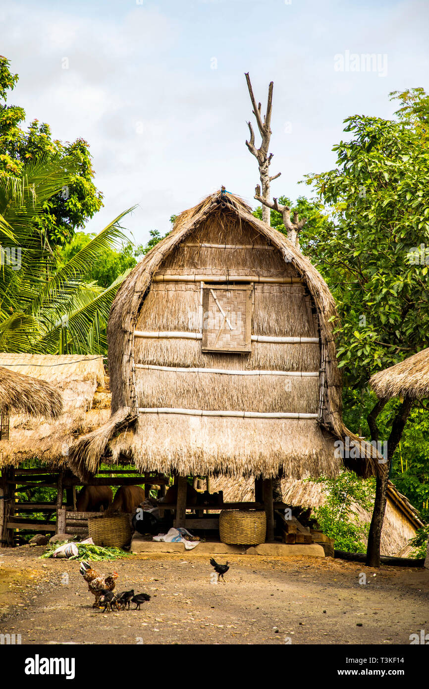 The Sasak Village Ende in Lombok, Indonesia, Asia Stock Photo - Alamy