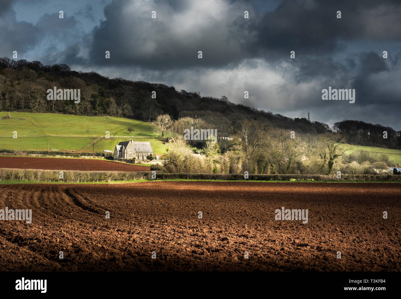 Farmland ploughed ready for planting. Wraxall. North Somerset. UK Stock ...