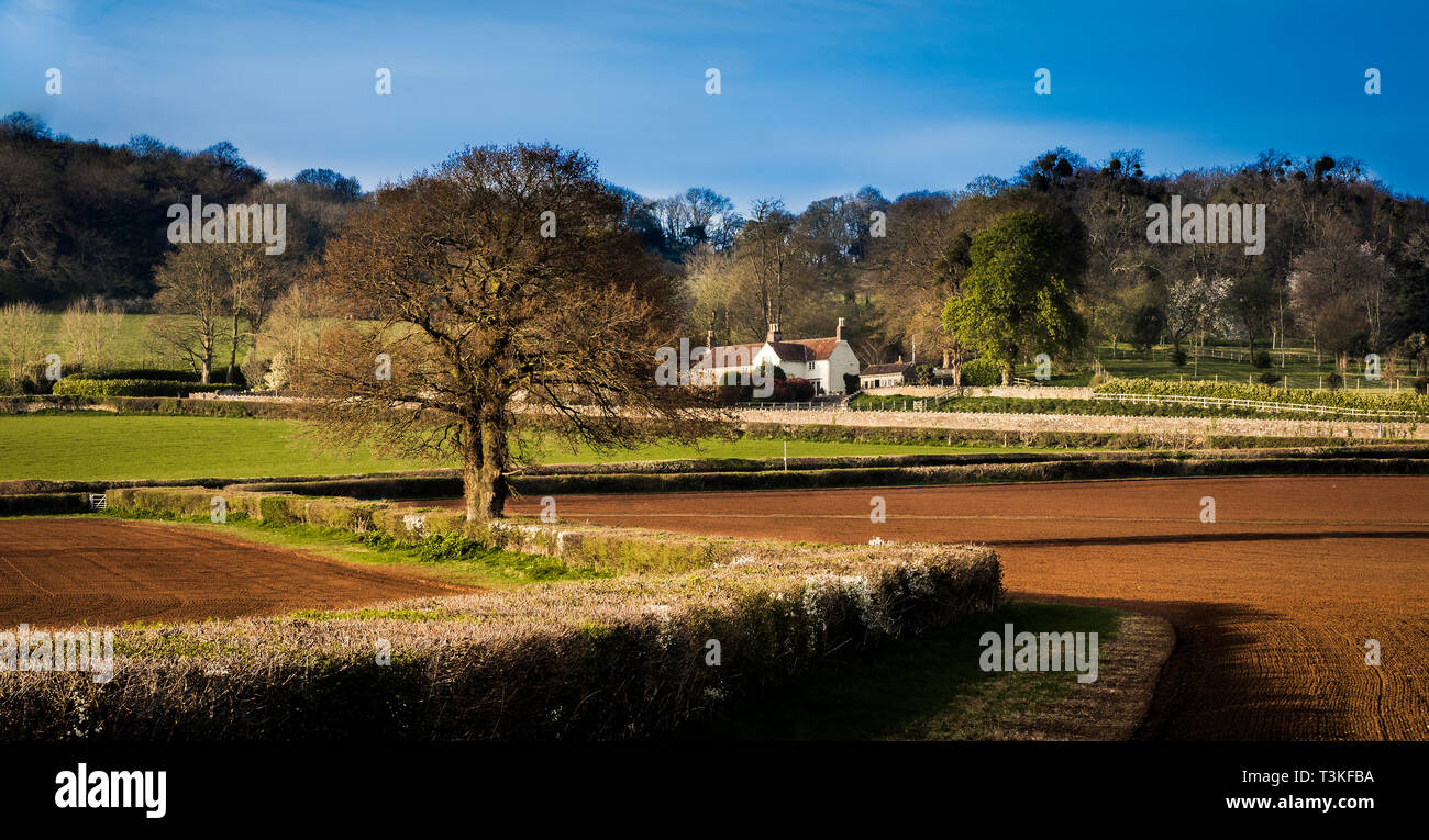Farmland ploughed ready for planting. Wraxall. North Somerset. UK Stock ...