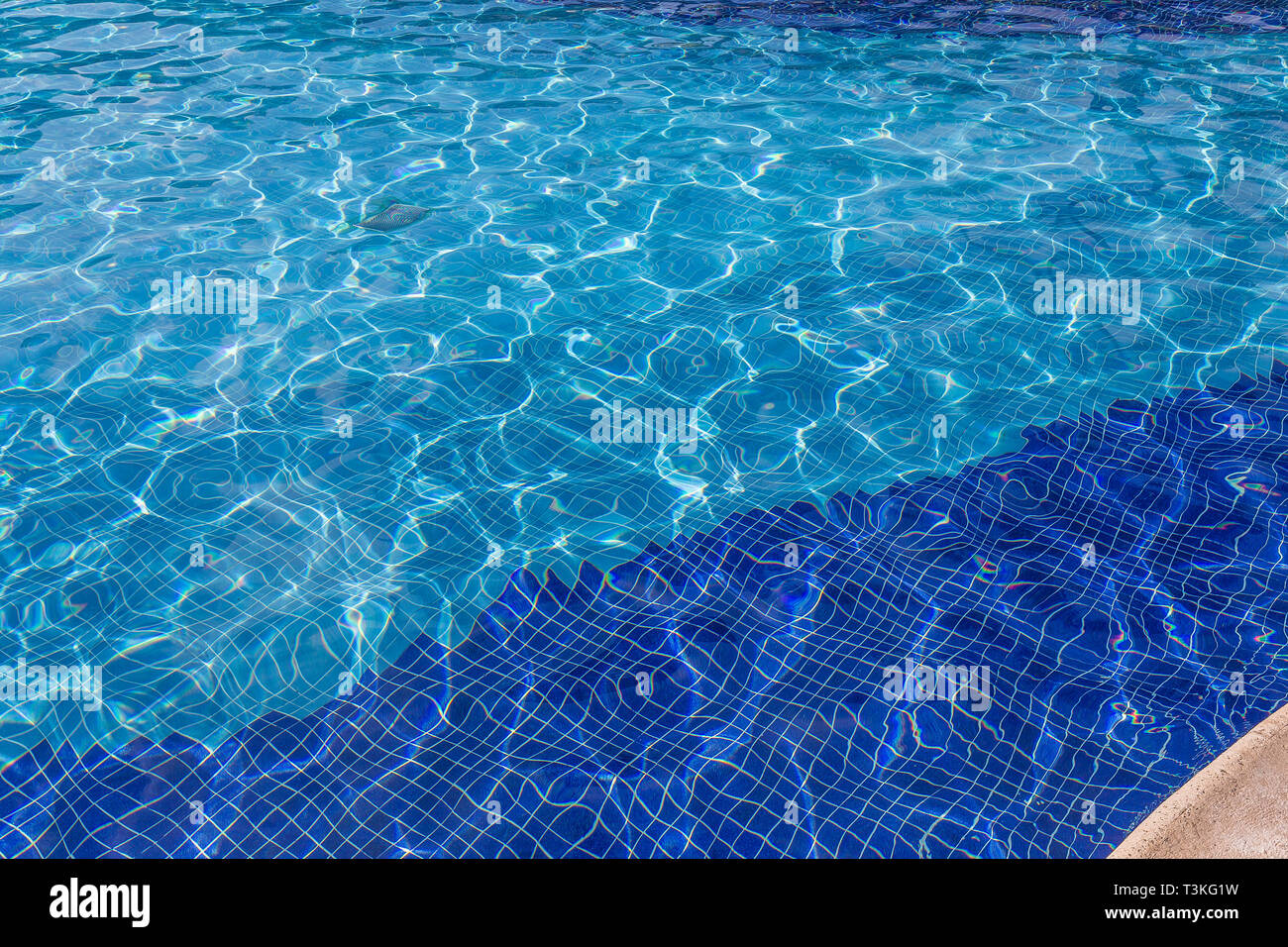 blue Swimming pool in Cancun, Riviera Maya, Mexico Stock Photo - Alamy