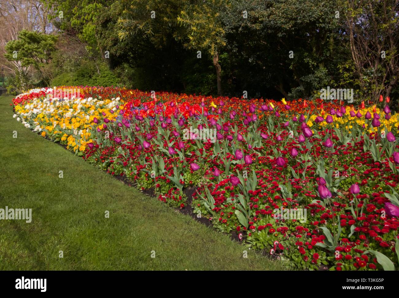 Beautiful spring flower bed beside grass lawn Stock Photo - Alamy