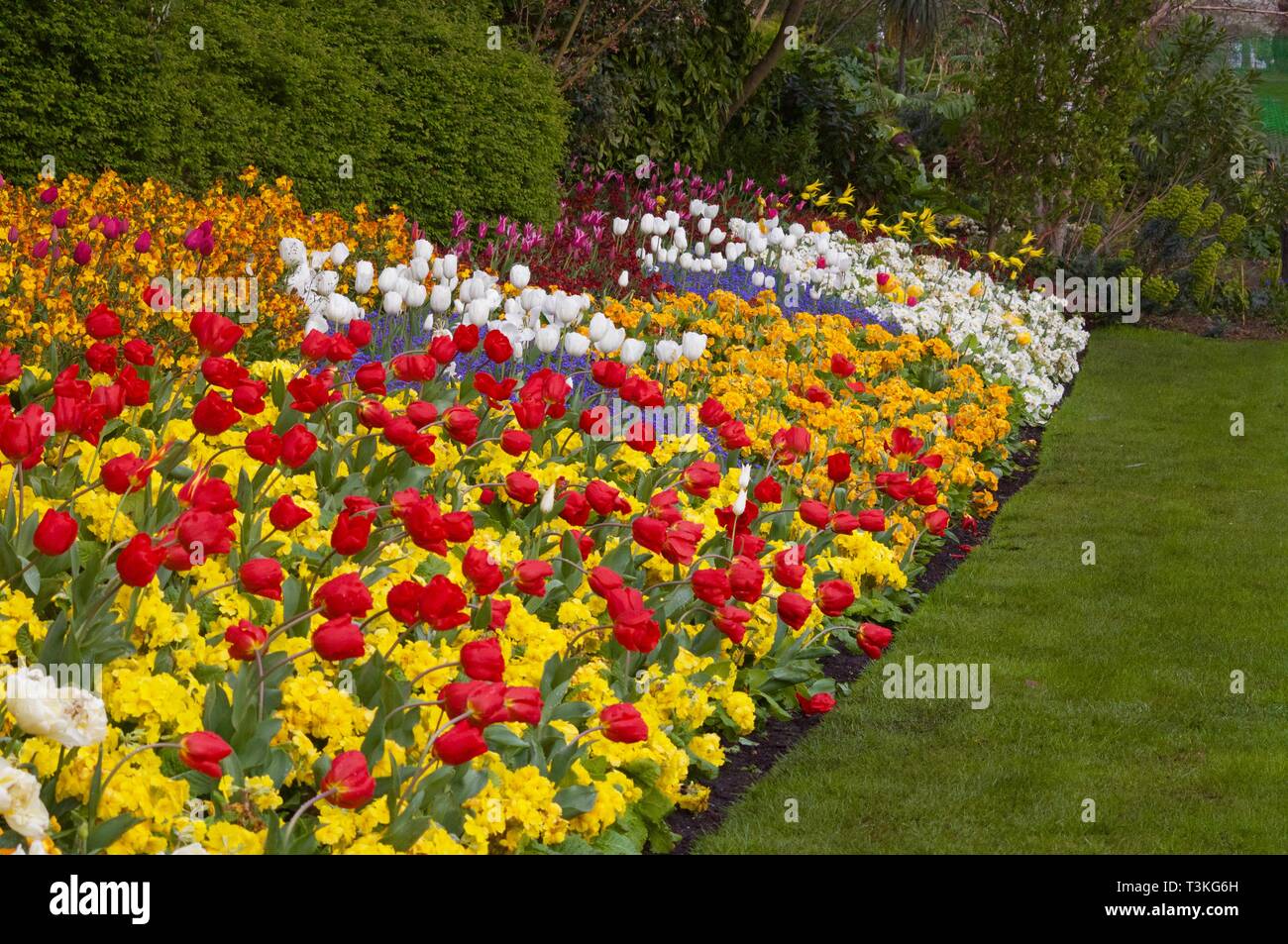 Beautiful colourful spring flower bed with grass to side for text Stock ...