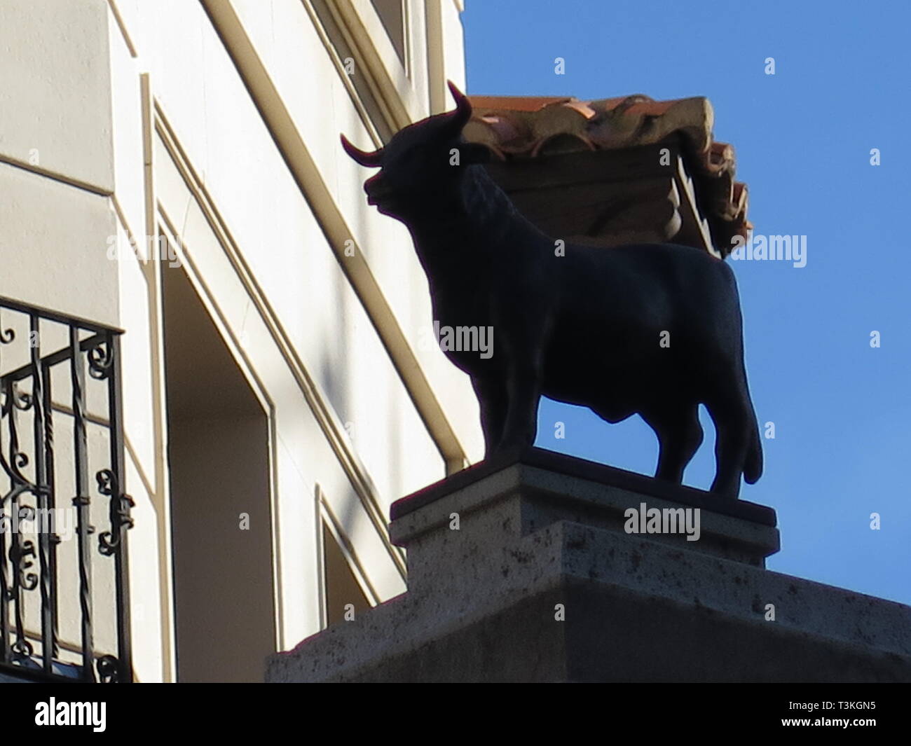 Torico hi-res stock photography and images - Alamy