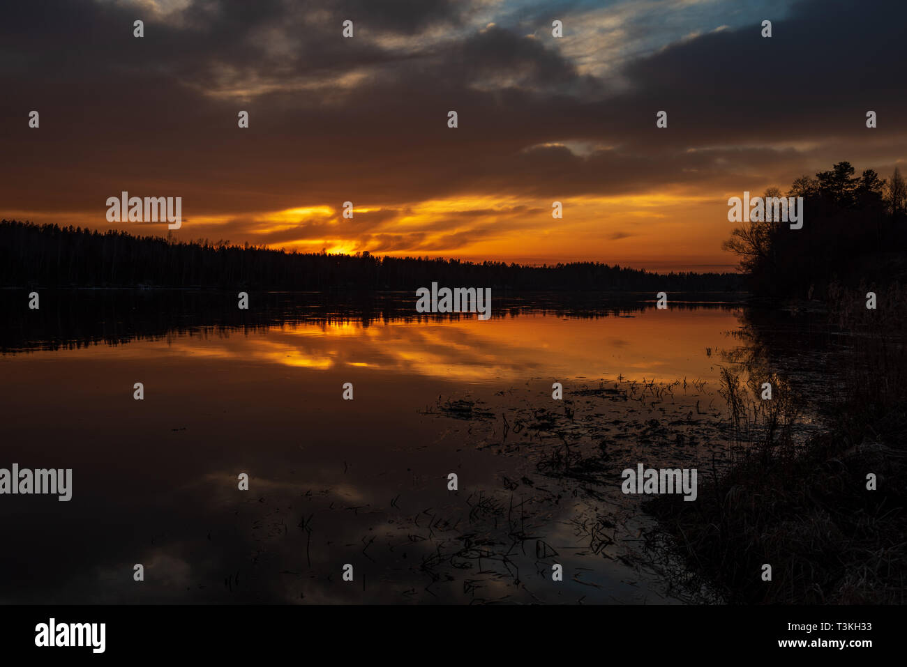orange red sunset in winter in woods with calm water in river Stock ...