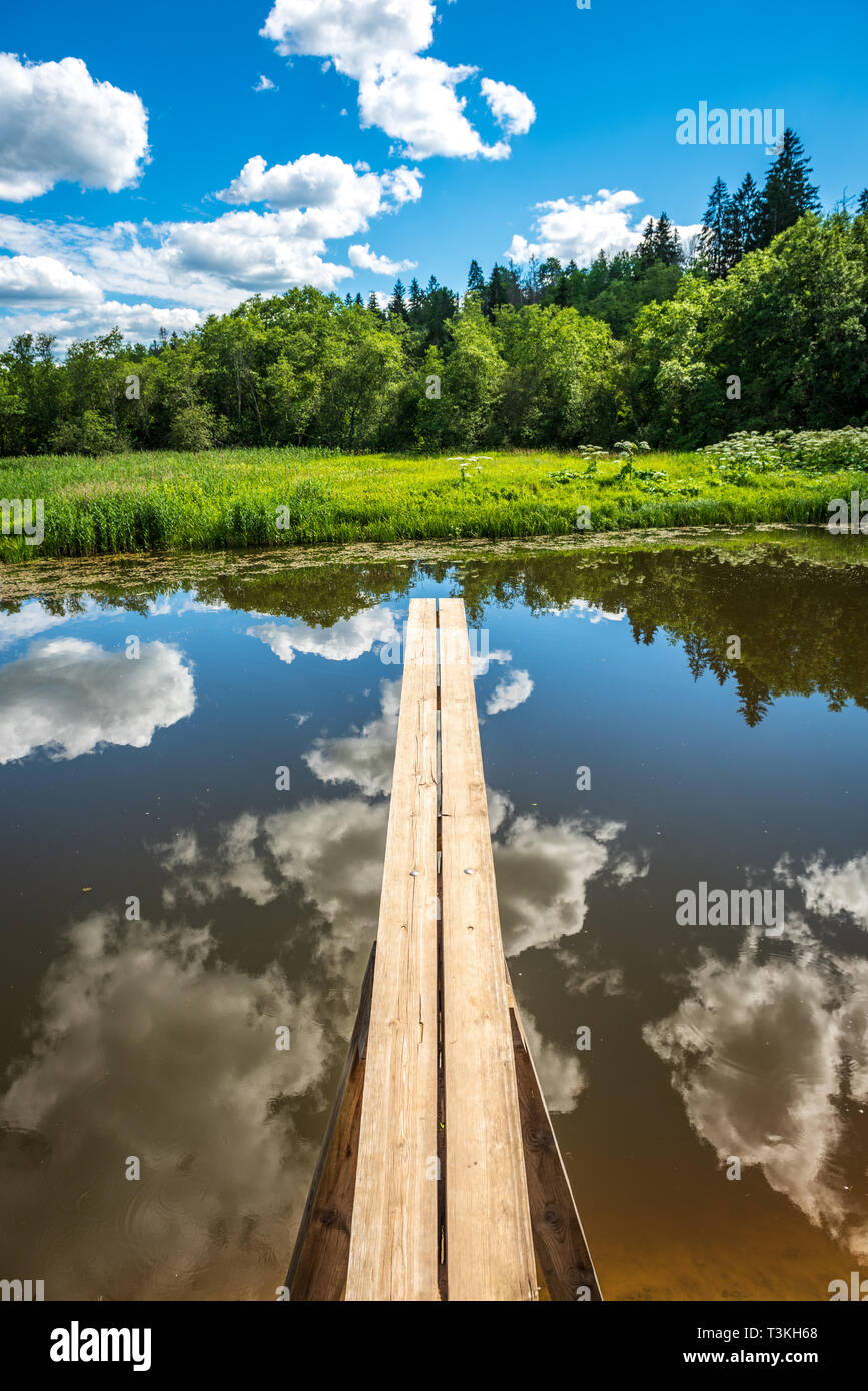 scenic forest lake in sunny summer day with green foliage and shadows ...