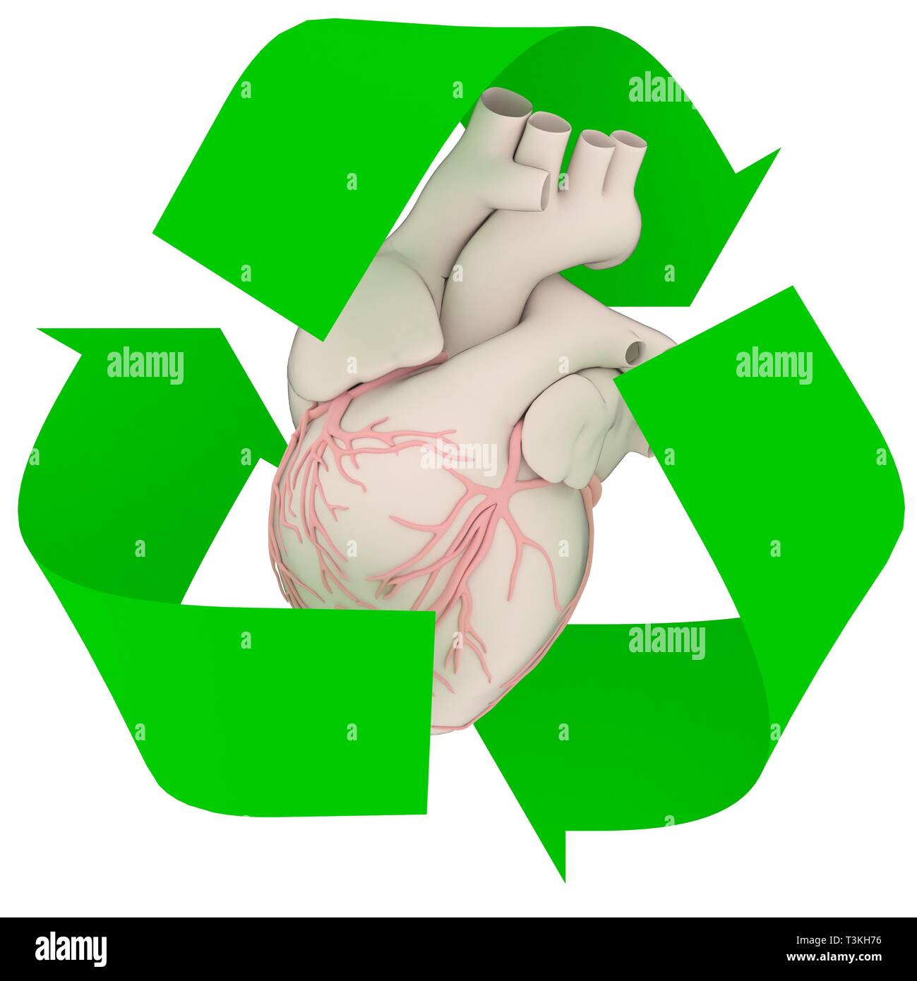 green recycle symbol with human heart inside, isolated 3d illustration ...