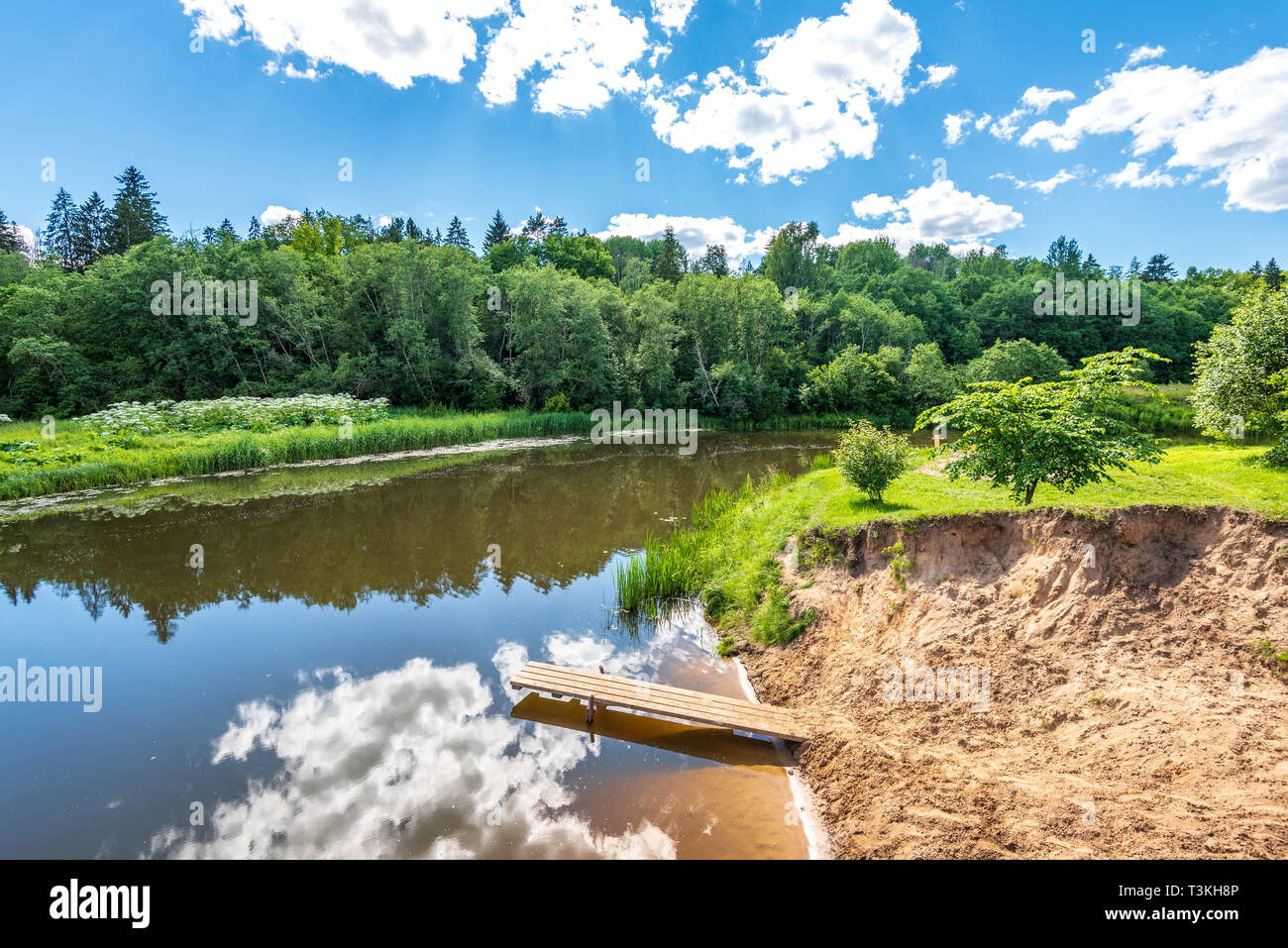 scenic forest lake in sunny summer day with green foliage and shadows ...
