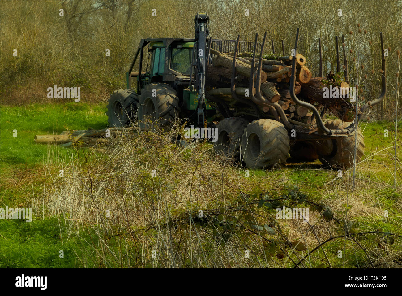 Forestry machinery loaded with cut logs, Kent, England, european Union ...