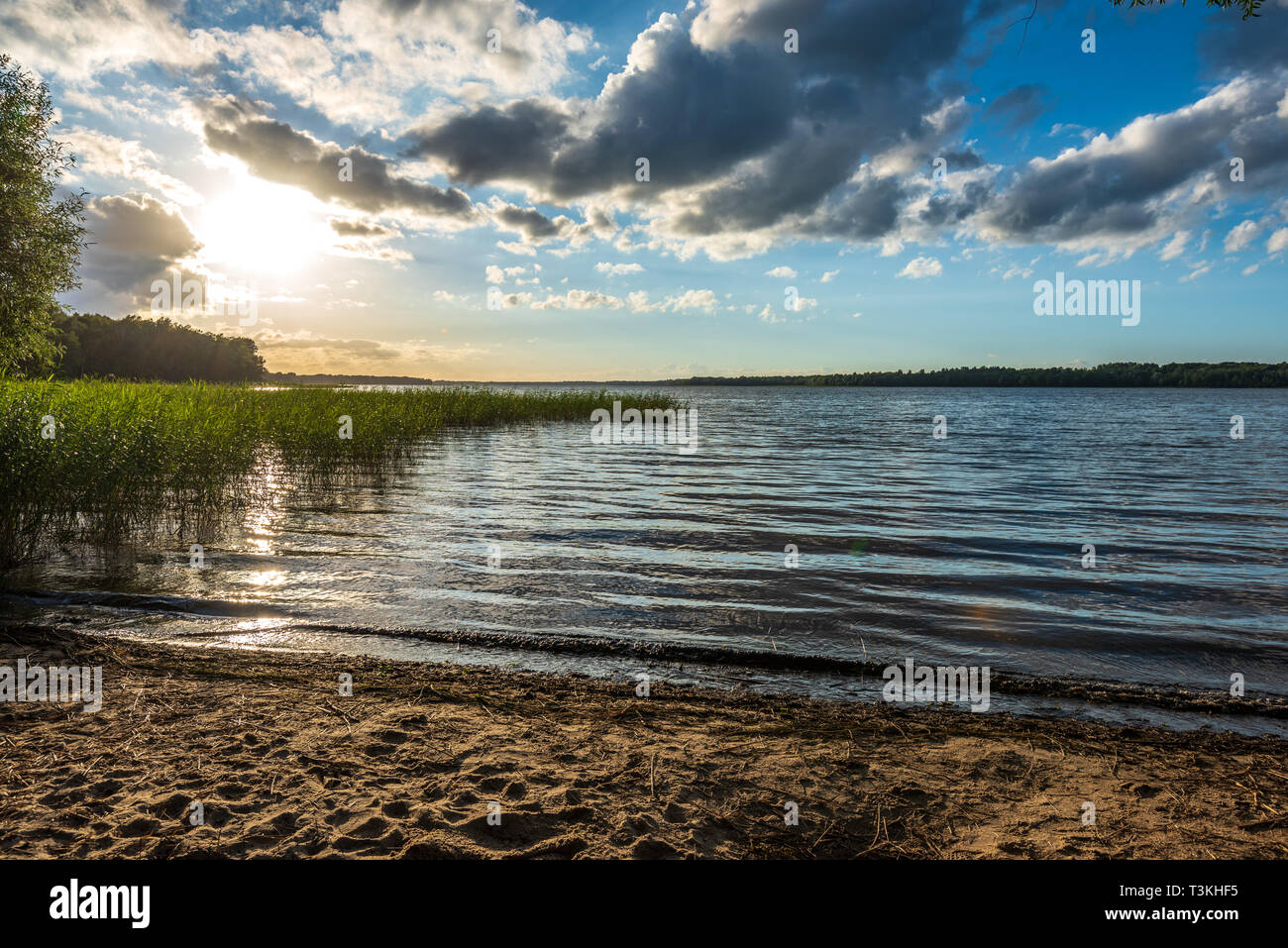 scenic forest lake in sunny summer day with green foliage and shadows ...