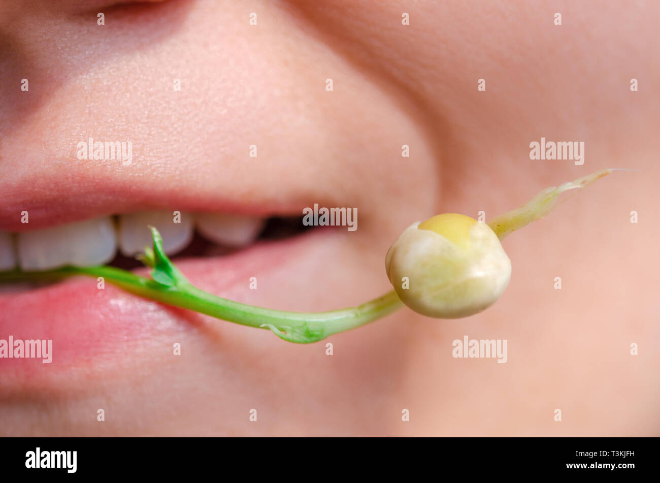 Germinated seed hi-res stock photography and images - Alamy