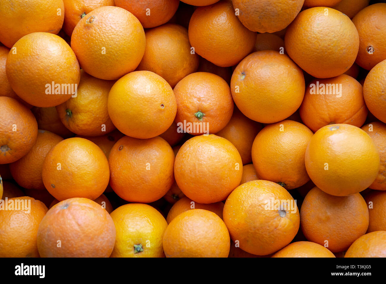 Many oranges from Valencia, Spain Stock Photo - Alamy