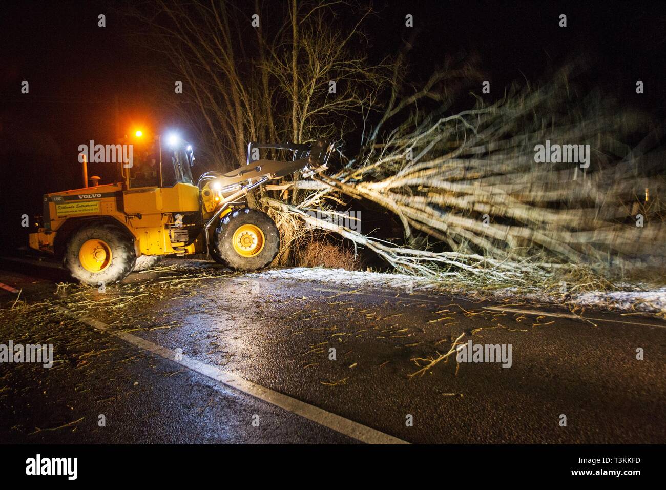 The storm Egon. Clearing trees lying over a road Stock Photo - Alamy