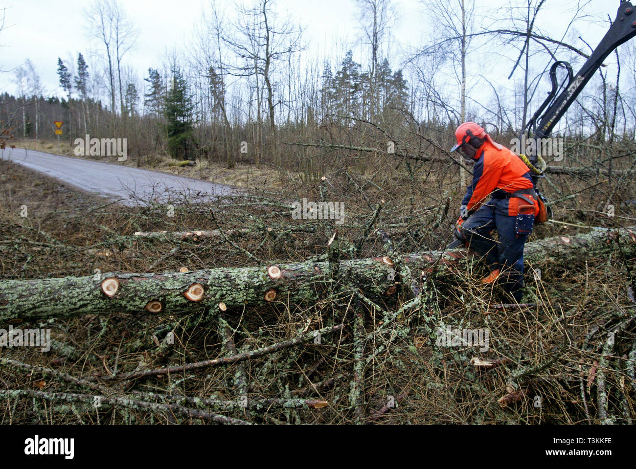 Stormen gudrun hi-res stock photography and images - Alamy