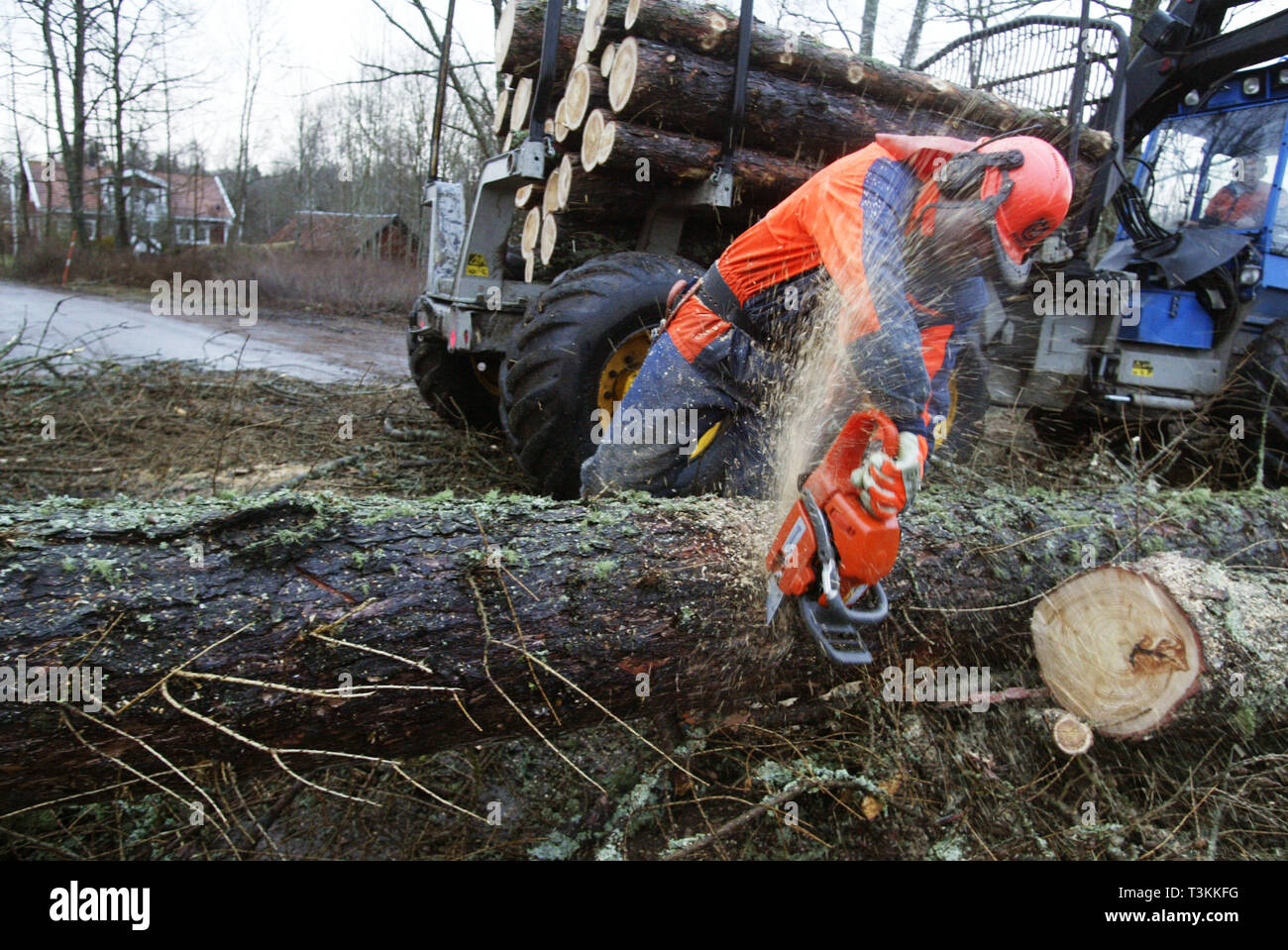 Stormen gudrun hi-res stock photography and images - Alamy