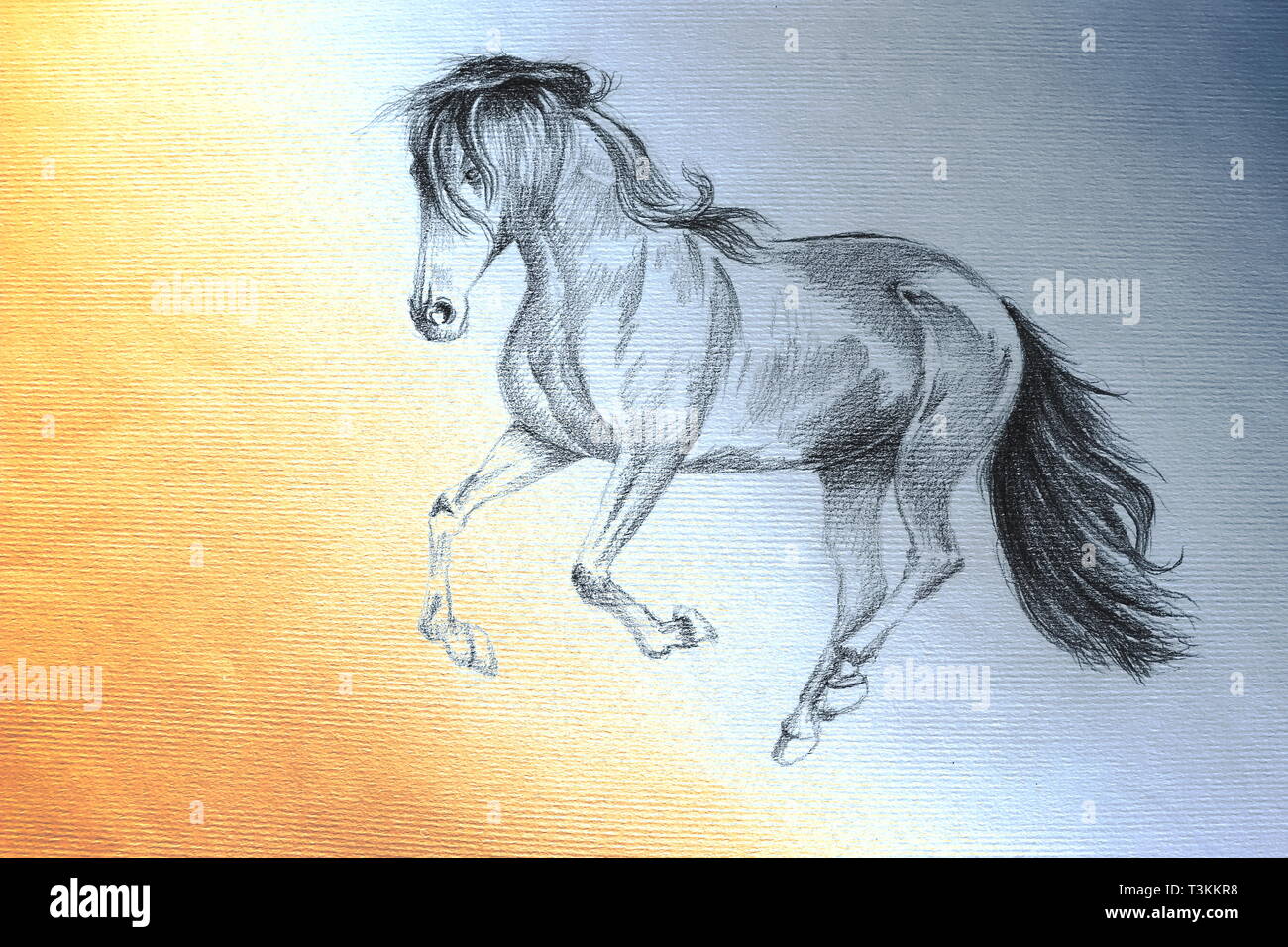 Fairy drawing hi-res stock photography and images - Alamy