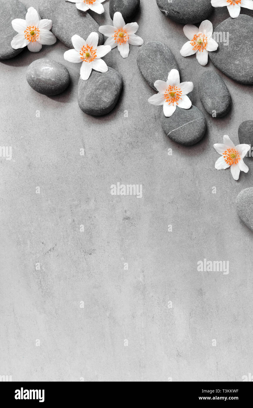 Zen Flower Wallpaper