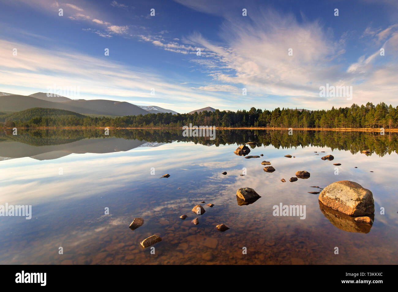Cairngorm national park aviemore scotland hi-res stock photography and ...