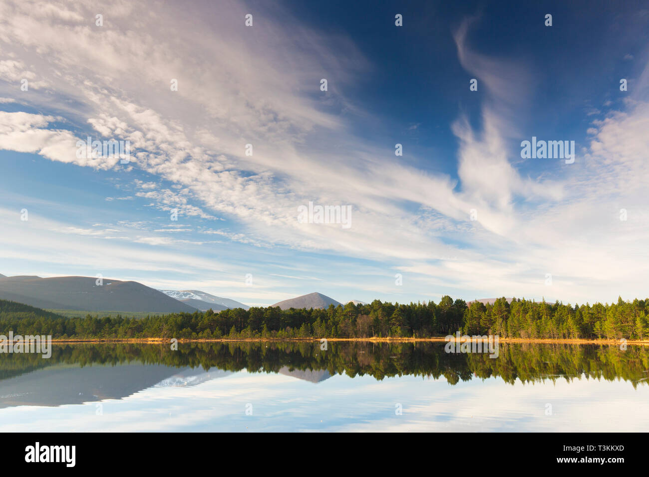 Cairngorm national park aviemore scotland hi-res stock photography and ...