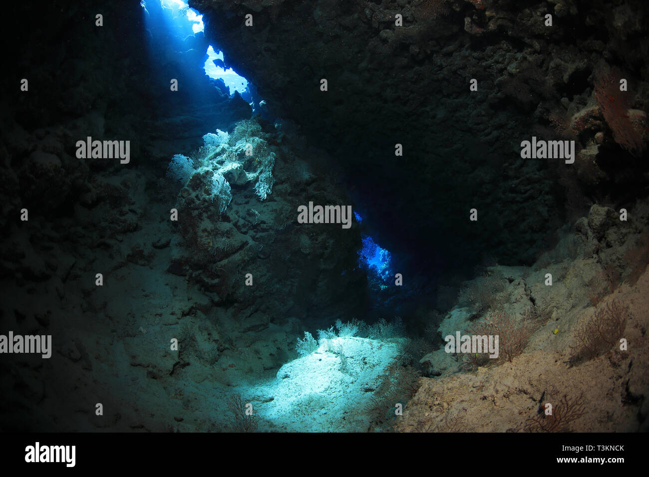 Entrance of underwater cave in the Great Barrier Reef Stock Photo - Alamy