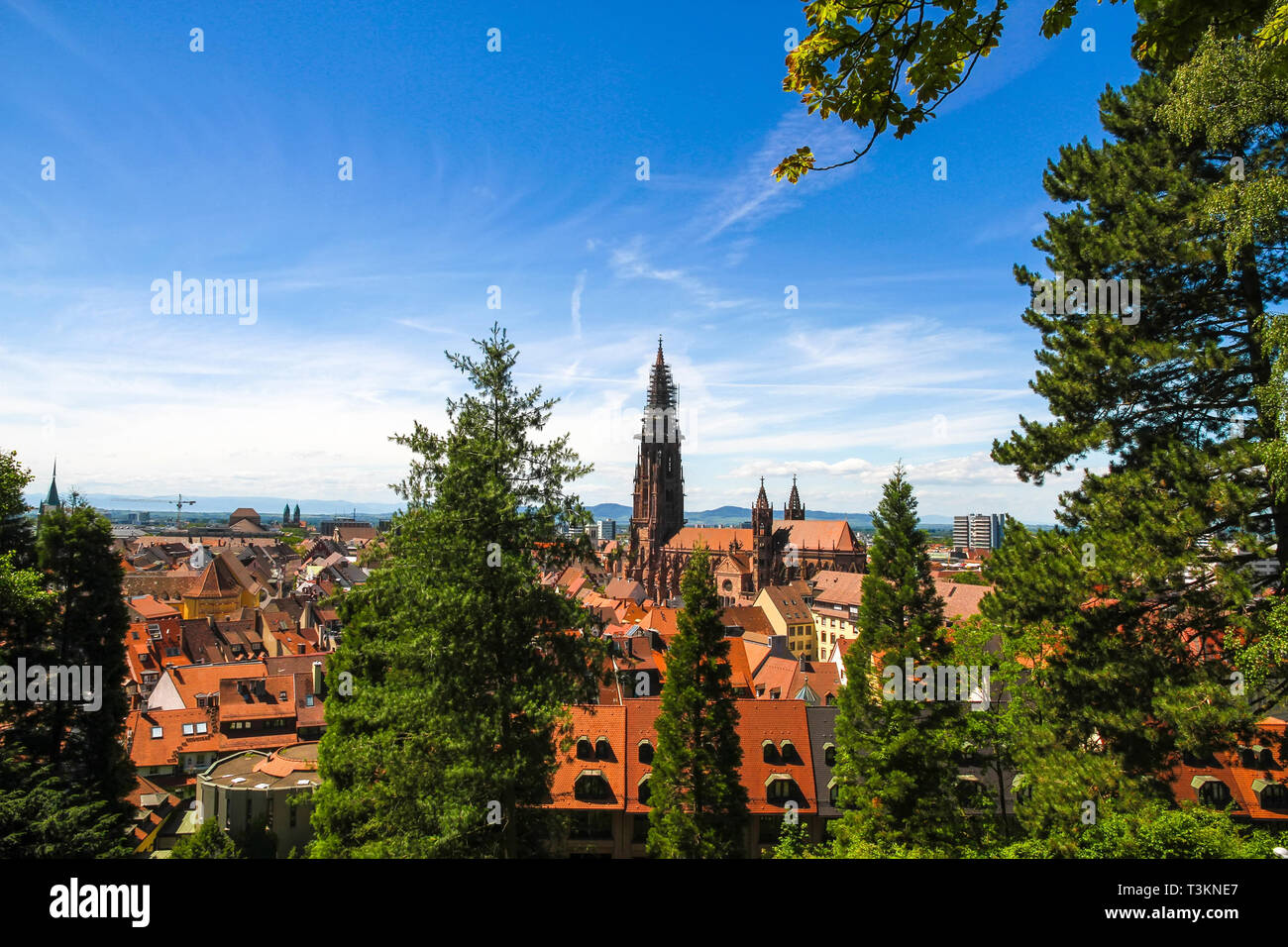 Landscape view of Freiburg im Breisgau, Germany with the Minster ...