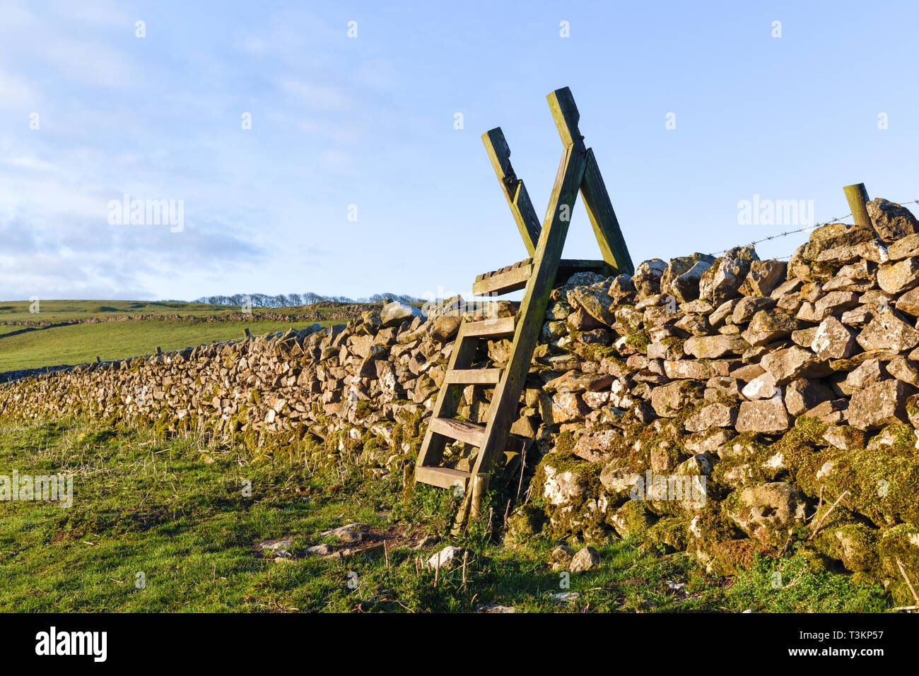 A Ladder stiles crossing a dry stone wall in Derbyshire,UK Stock Photo ...