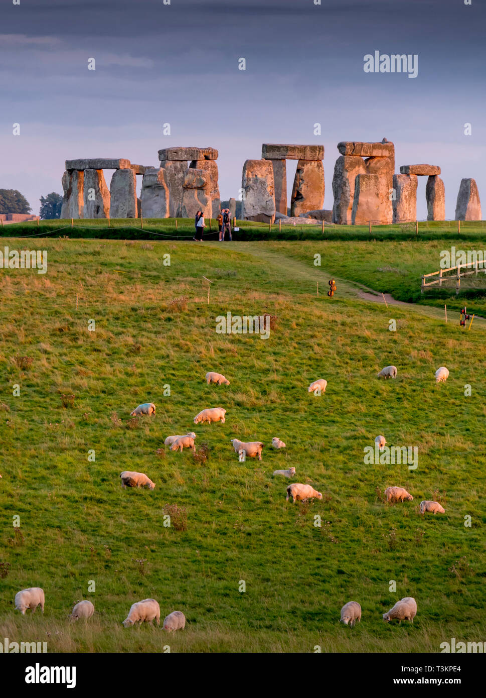 uk, england, Wiltshire, Stonehenge Stock Photo - Alamy