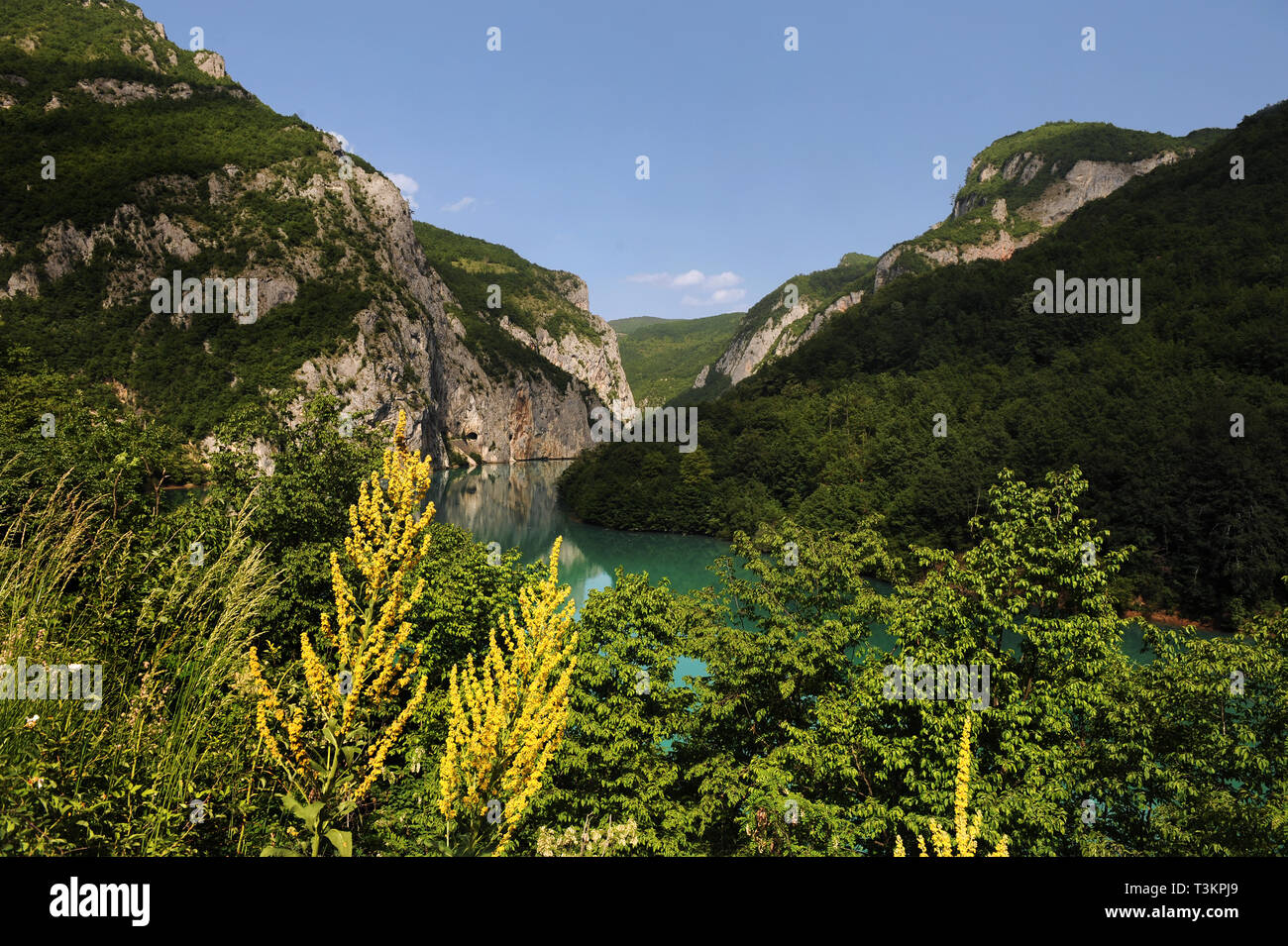 River drina hi-res stock photography and images - Alamy