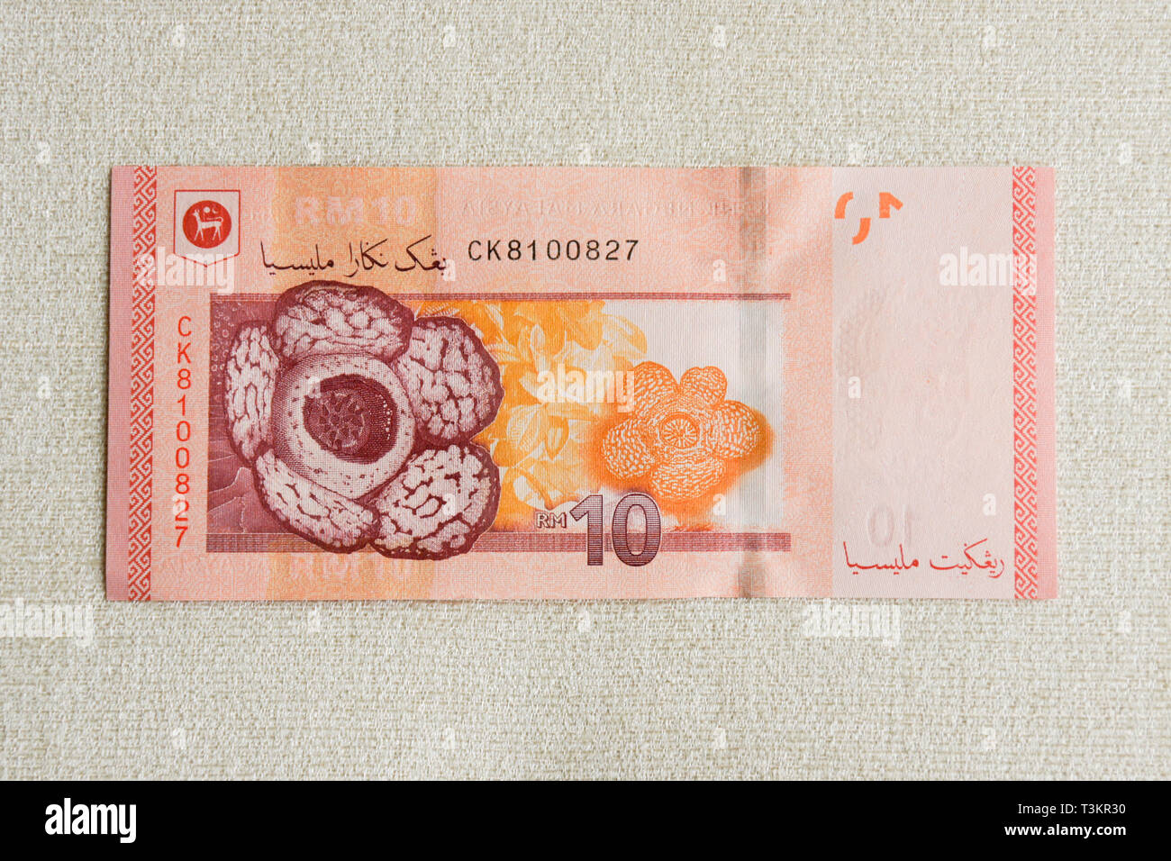 Currency of Malaysia (ringgit, reverse side of note Stock Photo - Alamy