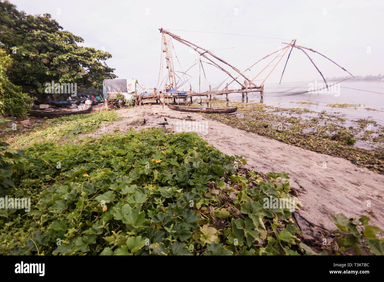 Landscape,Kochi harbour,Chinese ,fishing,net,fishing boata,awaing ...