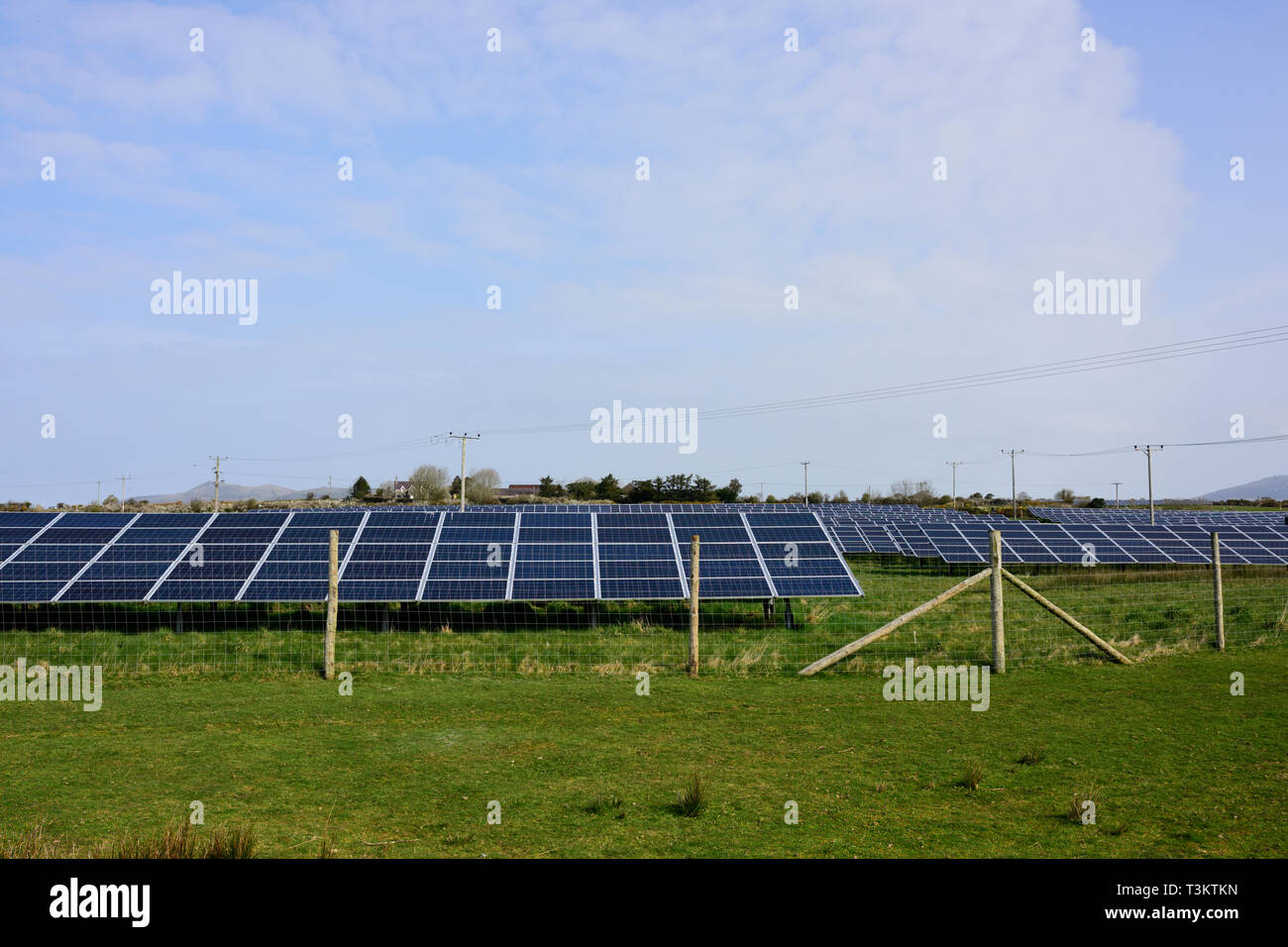 Solar array, solar panels on solar farm, behind wire fence in field in ...