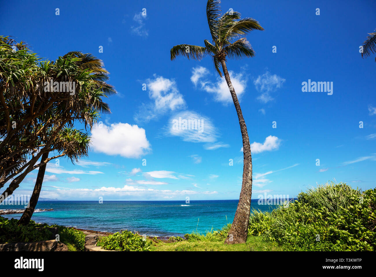 Amazing hawaiian beach. Wave in ocean at sunset or sunrise with surfer ...