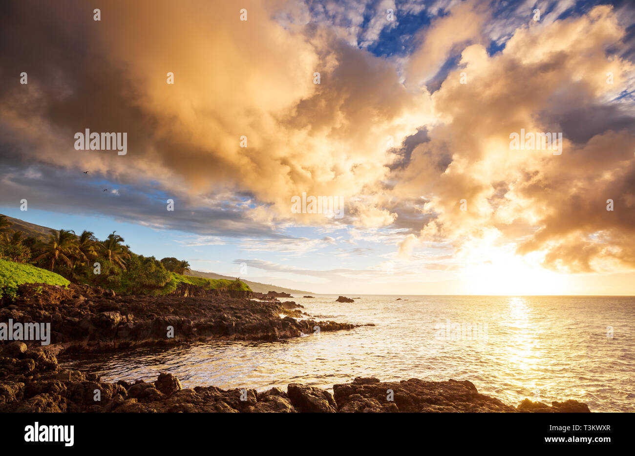 Beautiful tropical landscapes on Maui island, Hawaii Stock Photo - Alamy