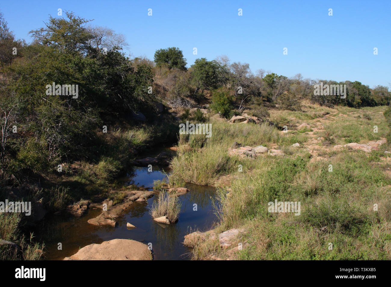 Sand River / Sand River Stock Photo - Alamy