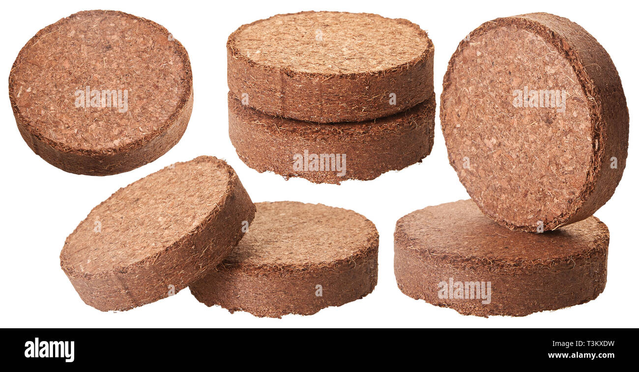 Coconut Coir Isolated on White Background. (Used as Growing Medium or ...