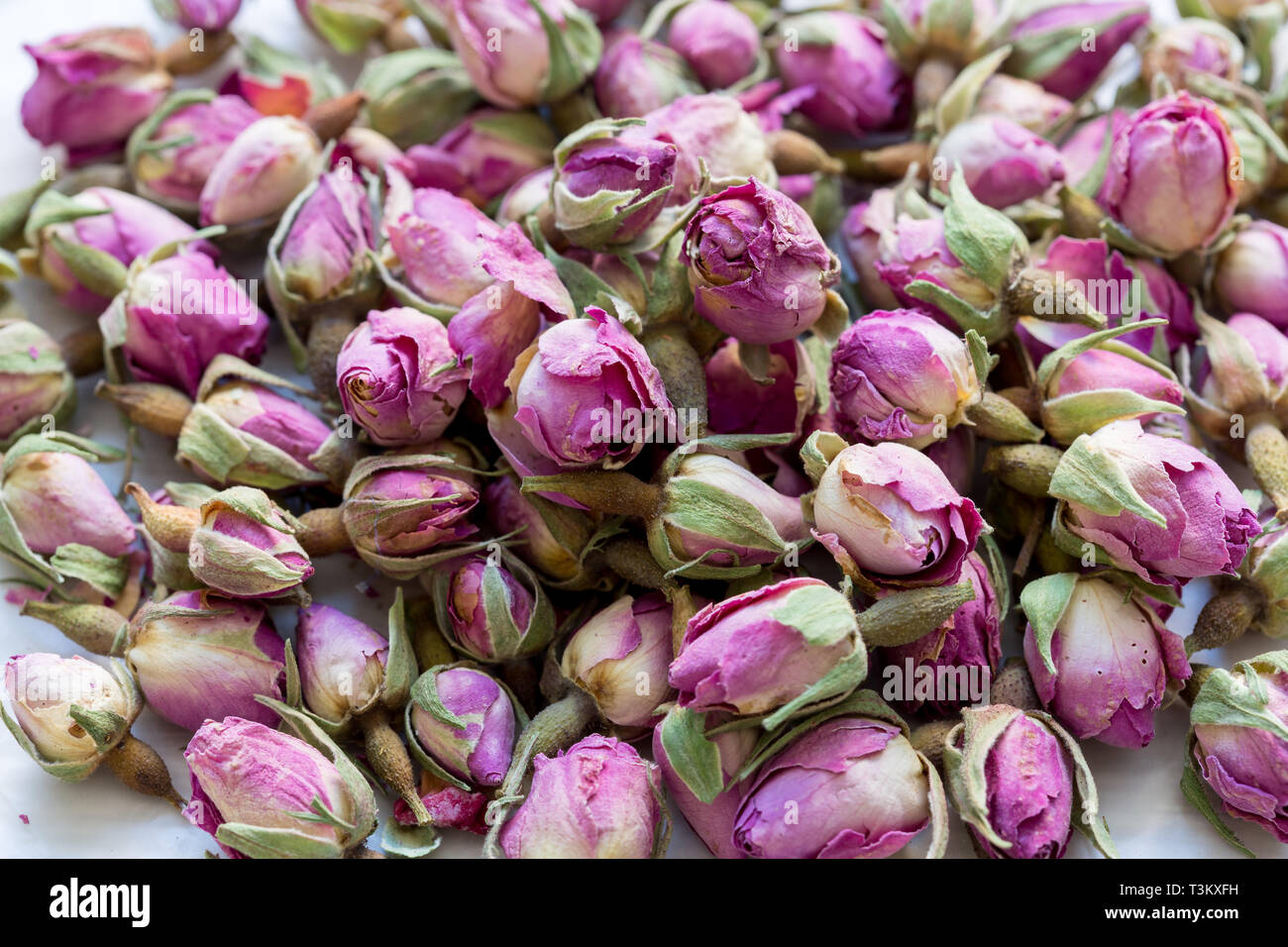 Dry rosebuds hi-res stock photography and images - Alamy