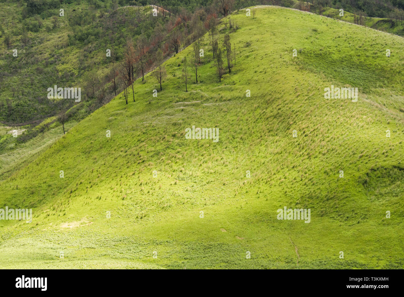 Rolling landscape, Indonesia Stock Photo - Alamy