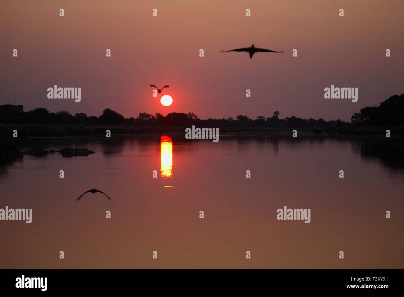 Sonnenuntergang Sabie River/ Sundown Sabie River Stock Photo - Alamy