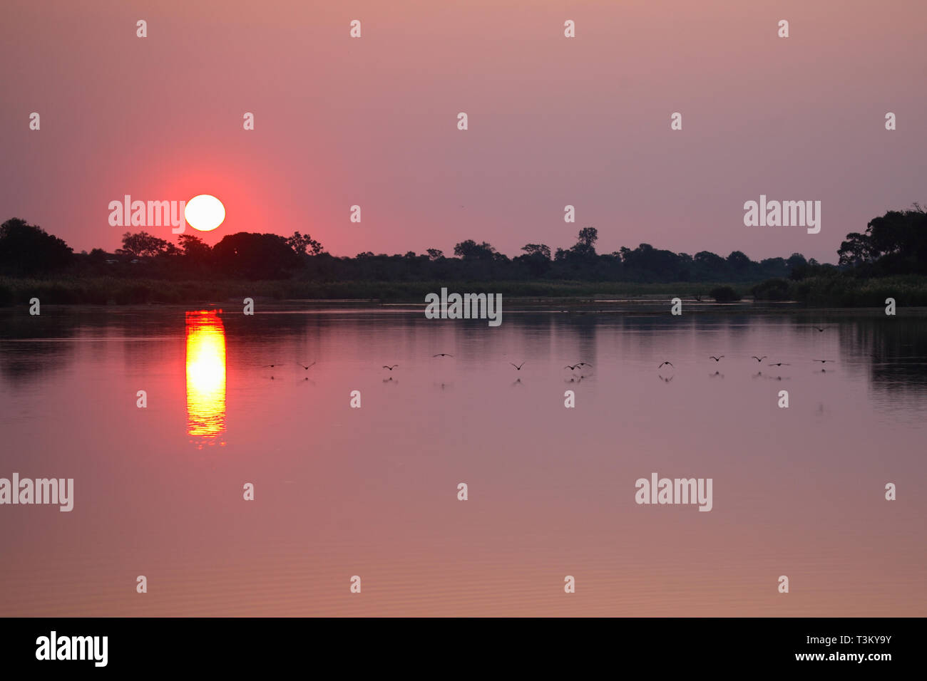 Sonnenuntergang Sabie River/ Sundown Sabie River Stock Photo - Alamy