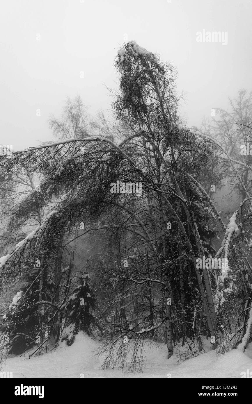 Cold grey winter day Black and White Stock Photos & Images - Alamy