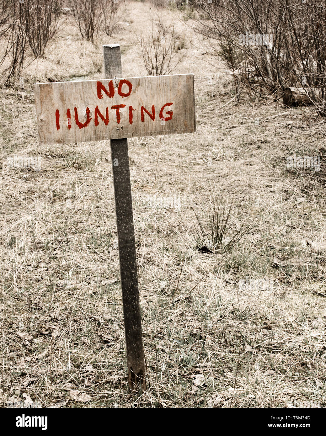 No hunting sign in rural area Stock Photo - Alamy