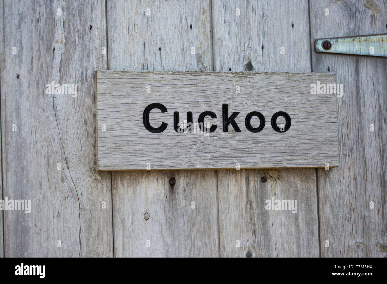 Cuckoo bird hide hi-res stock photography and images - Alamy