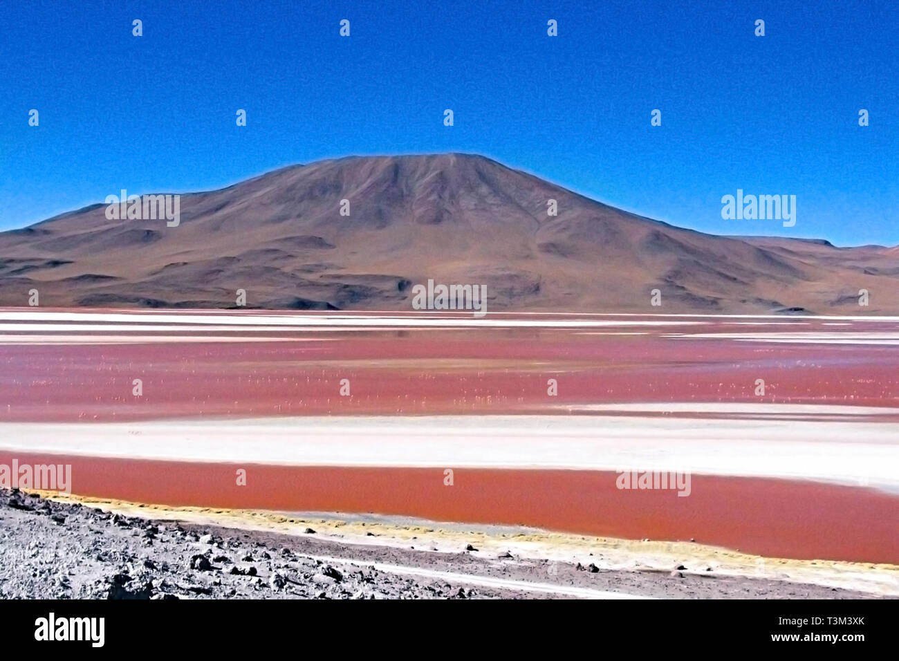 Laguna Colorado, Bolivia Stock Photo - Alamy