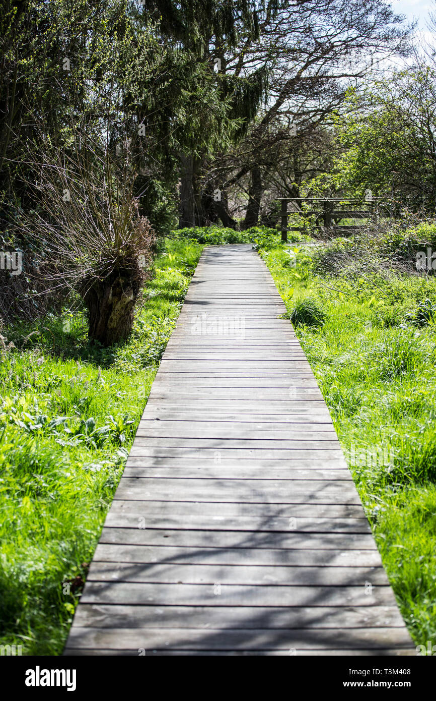 Wooden pathway leading through a countryside park on a sunny day in ...
