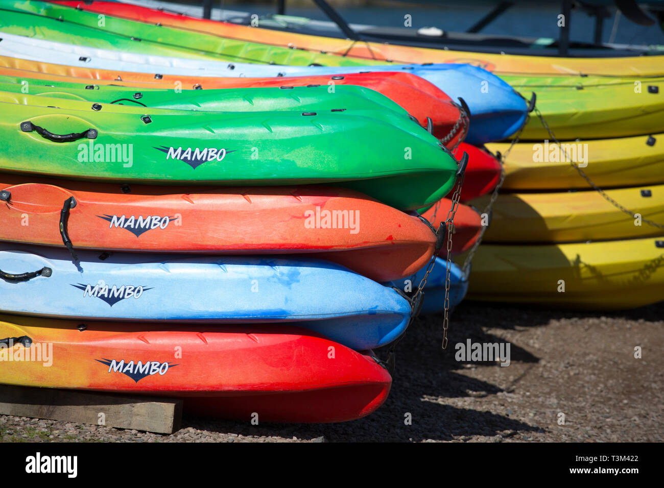 Bright yellow canoes hi-res stock photography and images - Alamy
