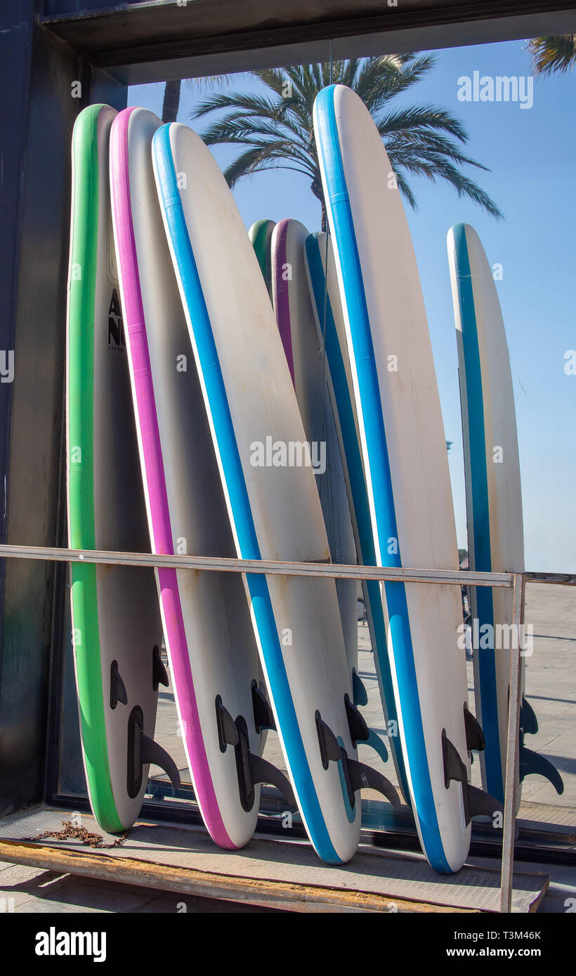 Polyurethane surfboards (longboards) in vertical position Stock Photo ...