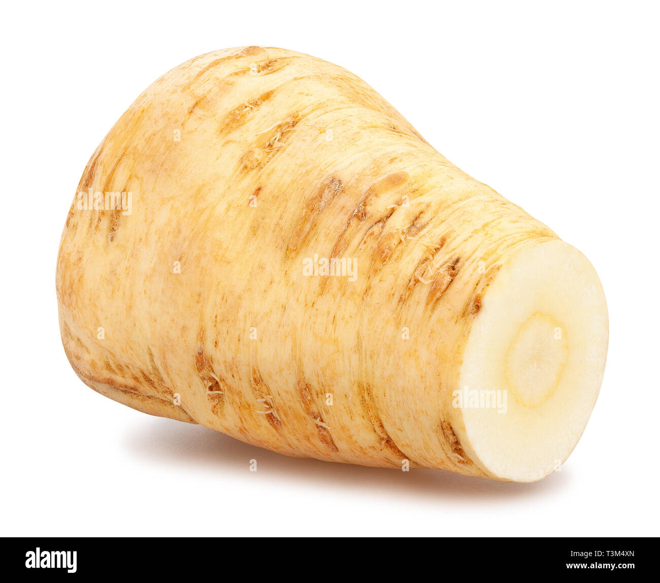 sliced parsley root path isolated Stock Photo - Alamy