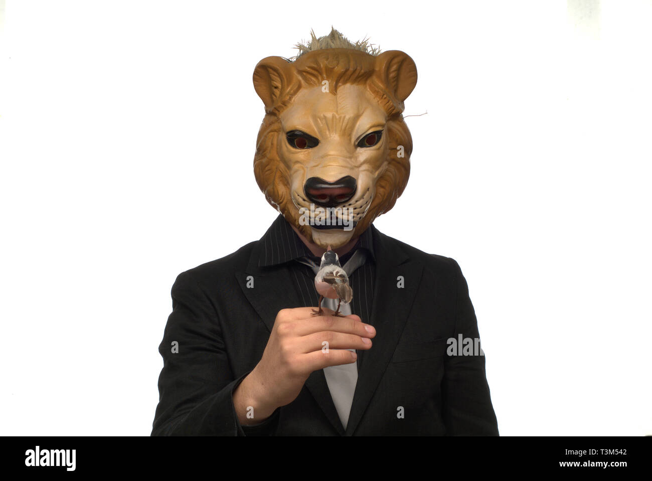 suit in a lion mask Stock Photo - Alamy