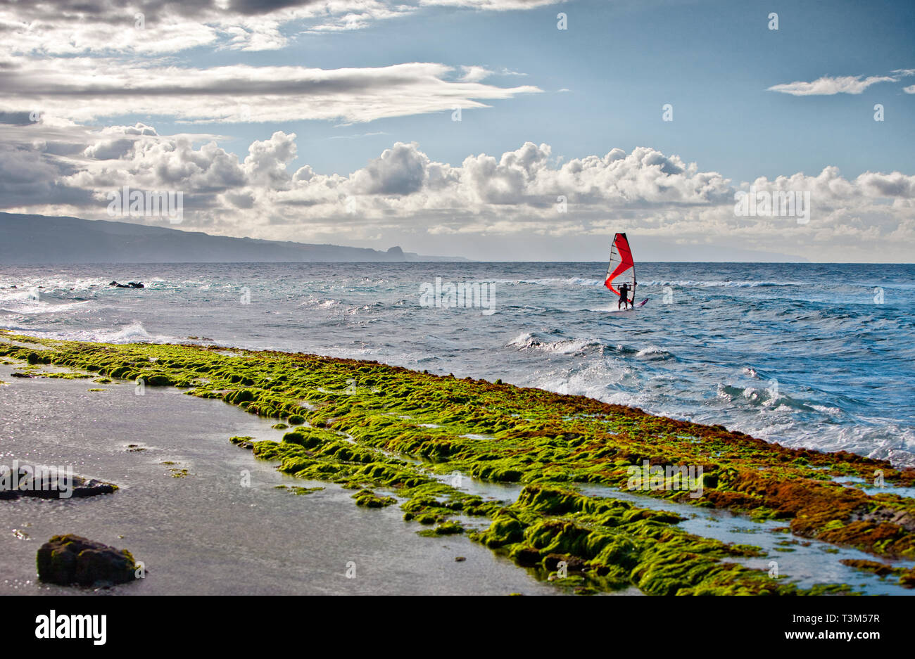 Windsurfer having fun on the ocean during a windy day Stock Photo - Alamy