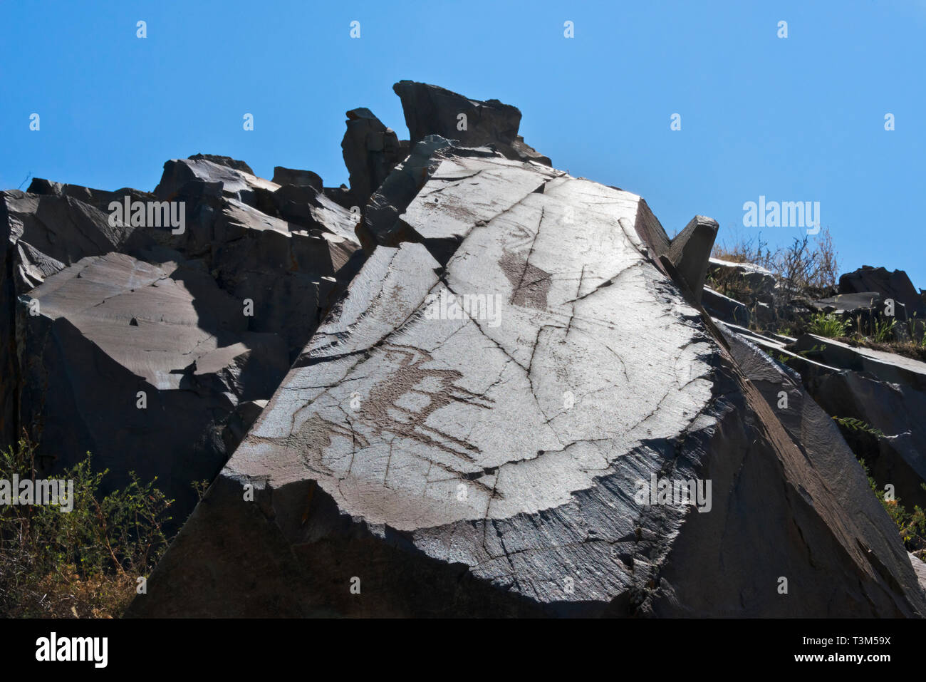 Petroglyph in Tamgaly, UNESCO World Heritage site, Kazakhstan Stock ...