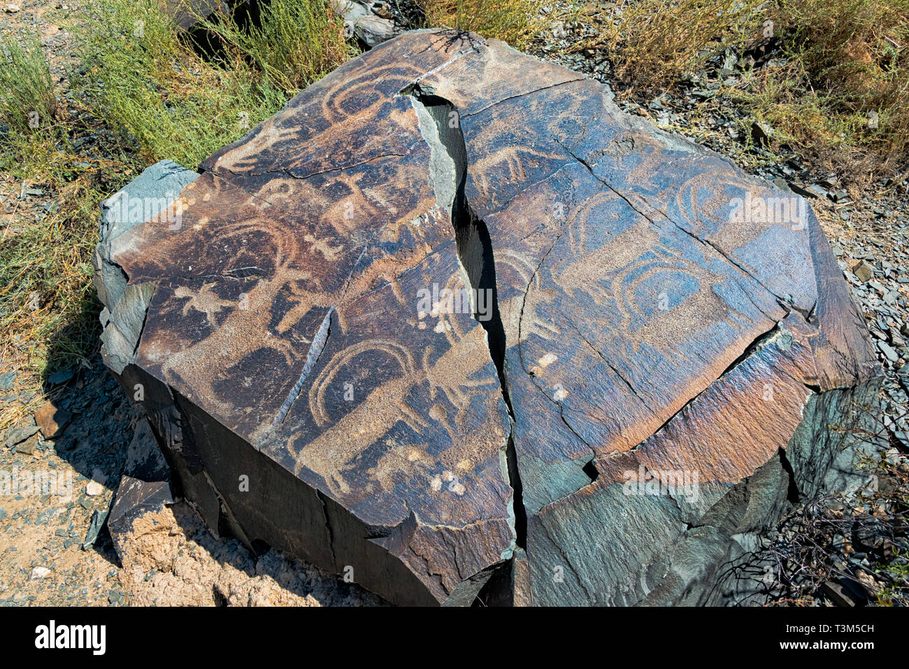 Tamgaly petroglyph hi-res stock photography and images - Alamy